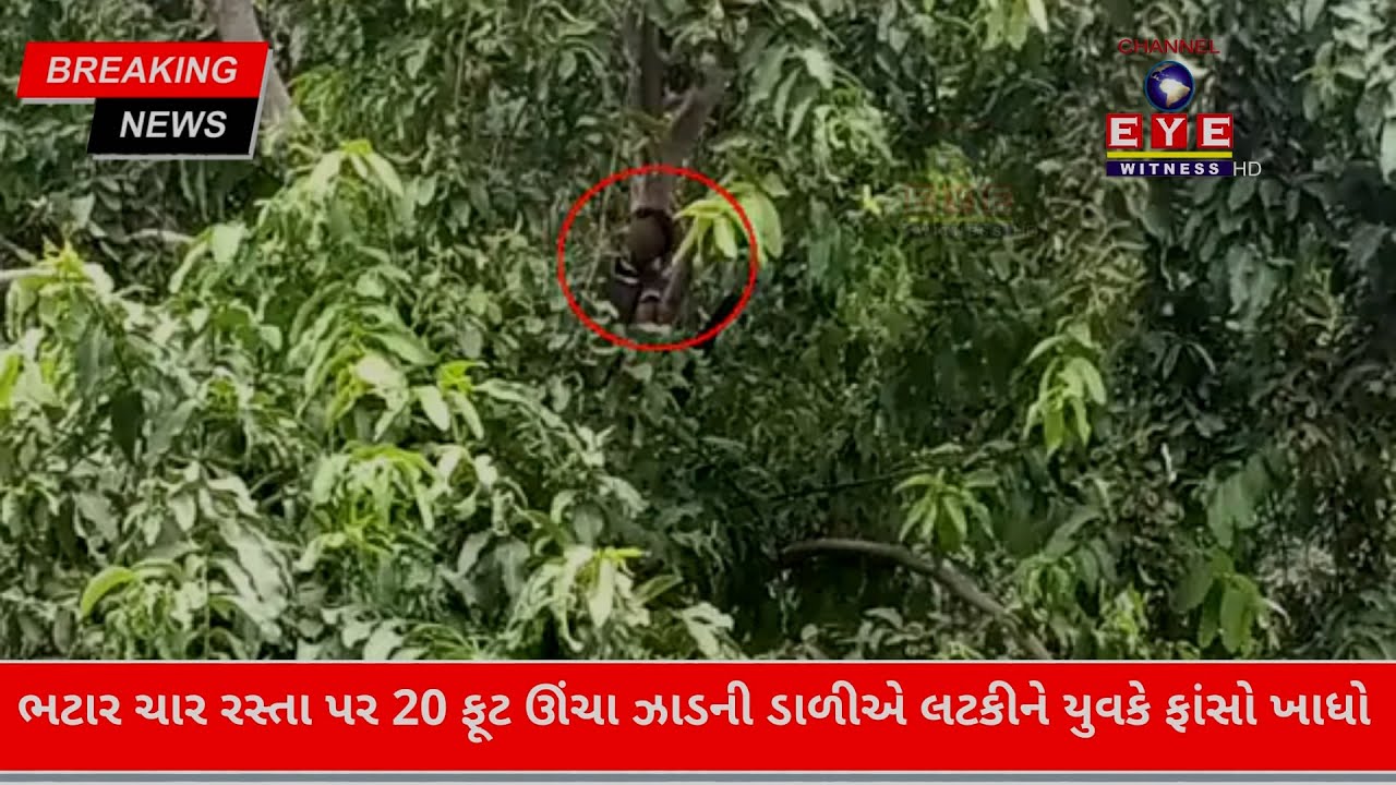 BREAKING NEWS || A Young Man Was Trapped By A 20 foot tall Tree Branch ...