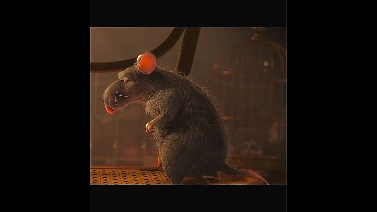 Ratatouille: Django (With Picture) (3) - YouTube