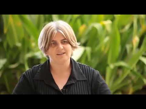 Qzs quick zebra services cleaning - YouTube