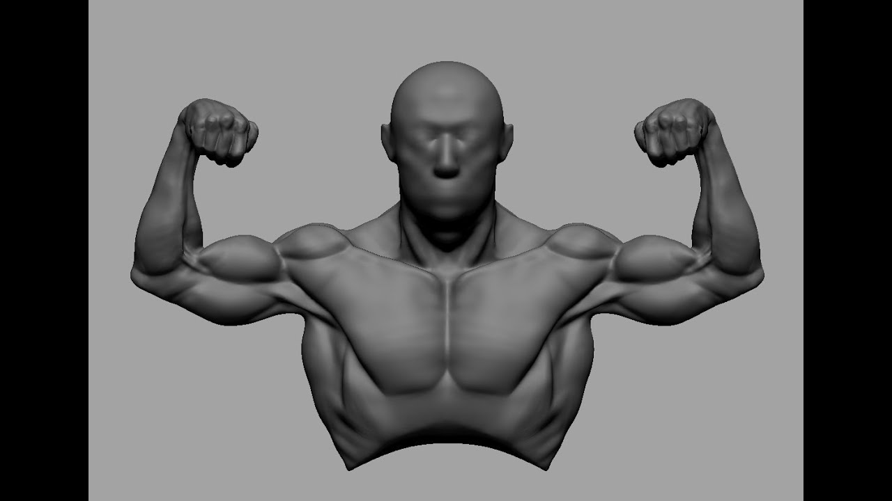 Anatomy study-bodybuilder - YouTube