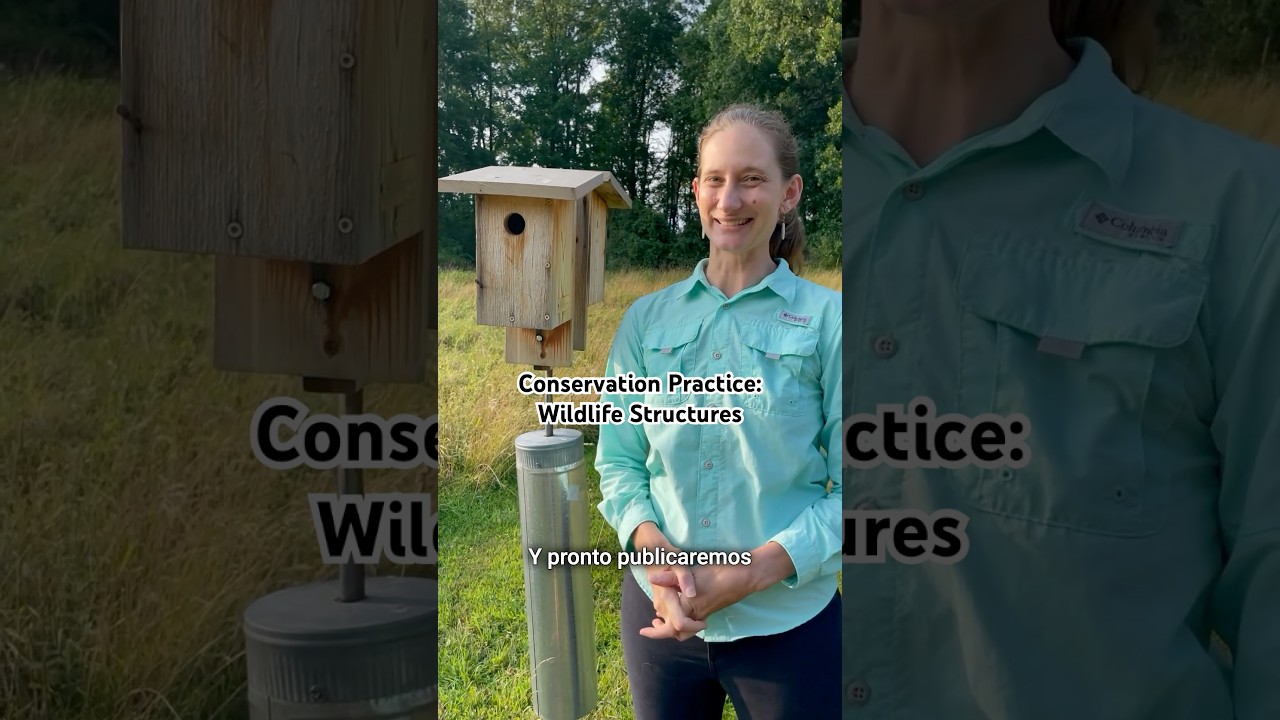 Conservation Practice: Wildlife Structures - YouTube