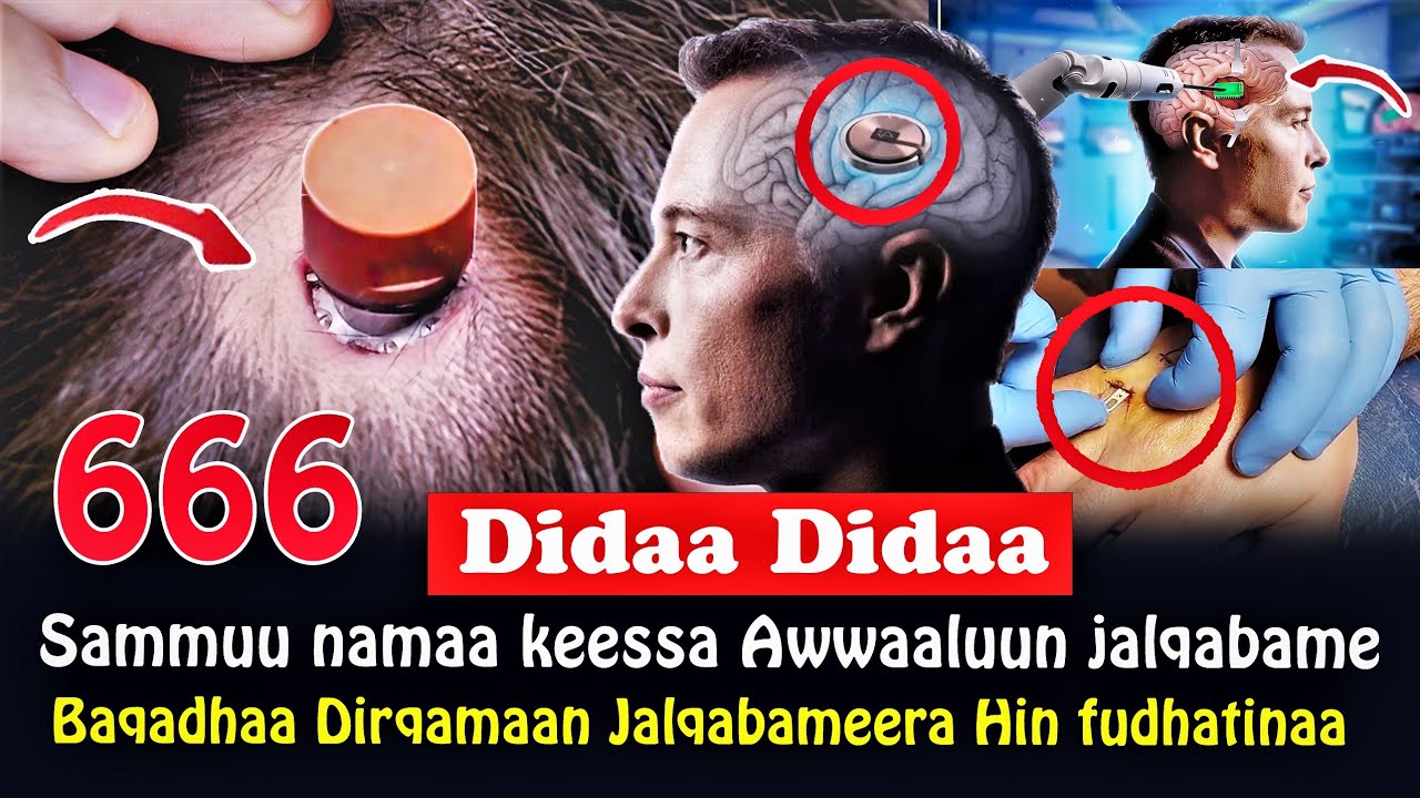 😭Didaa Didaa 666 Sammuu namaa keessa Awwaaluun jalqabame hinfudhatinaa ...