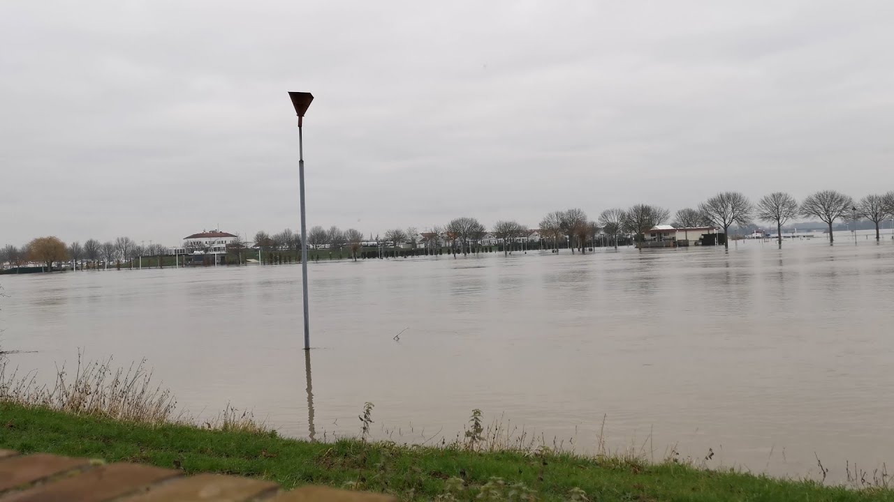 Overstromingen + Hoogwater in Limburg 6-2-2020 - YouTube