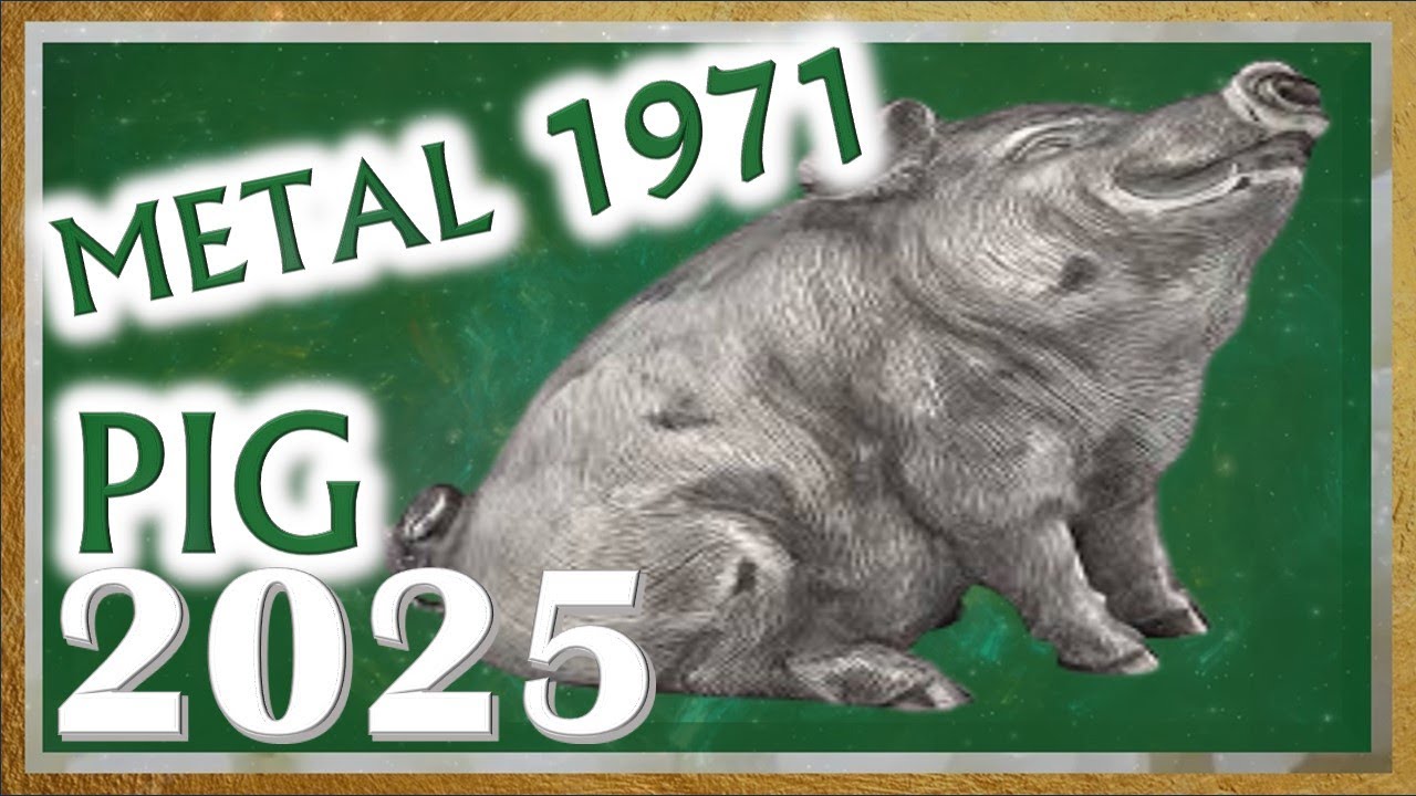 Pig Horoscope 2025 | | Metal Pig 1971 | January 27, 1971 to February 14 ...