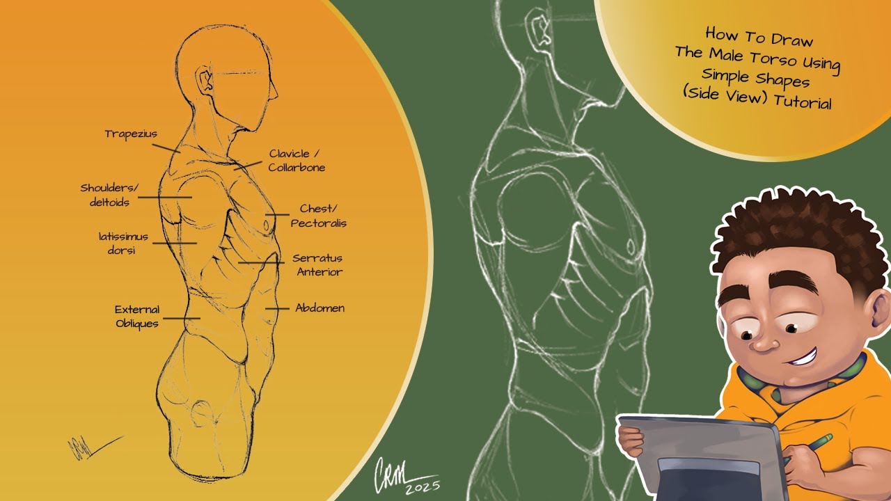 How To Draw The Male Torso Tutorial | Using Simple Shapes (Side View ...