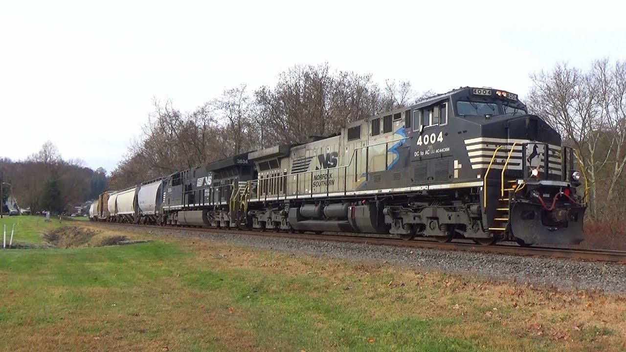 NS 12G With Blue Mane Leading - YouTube