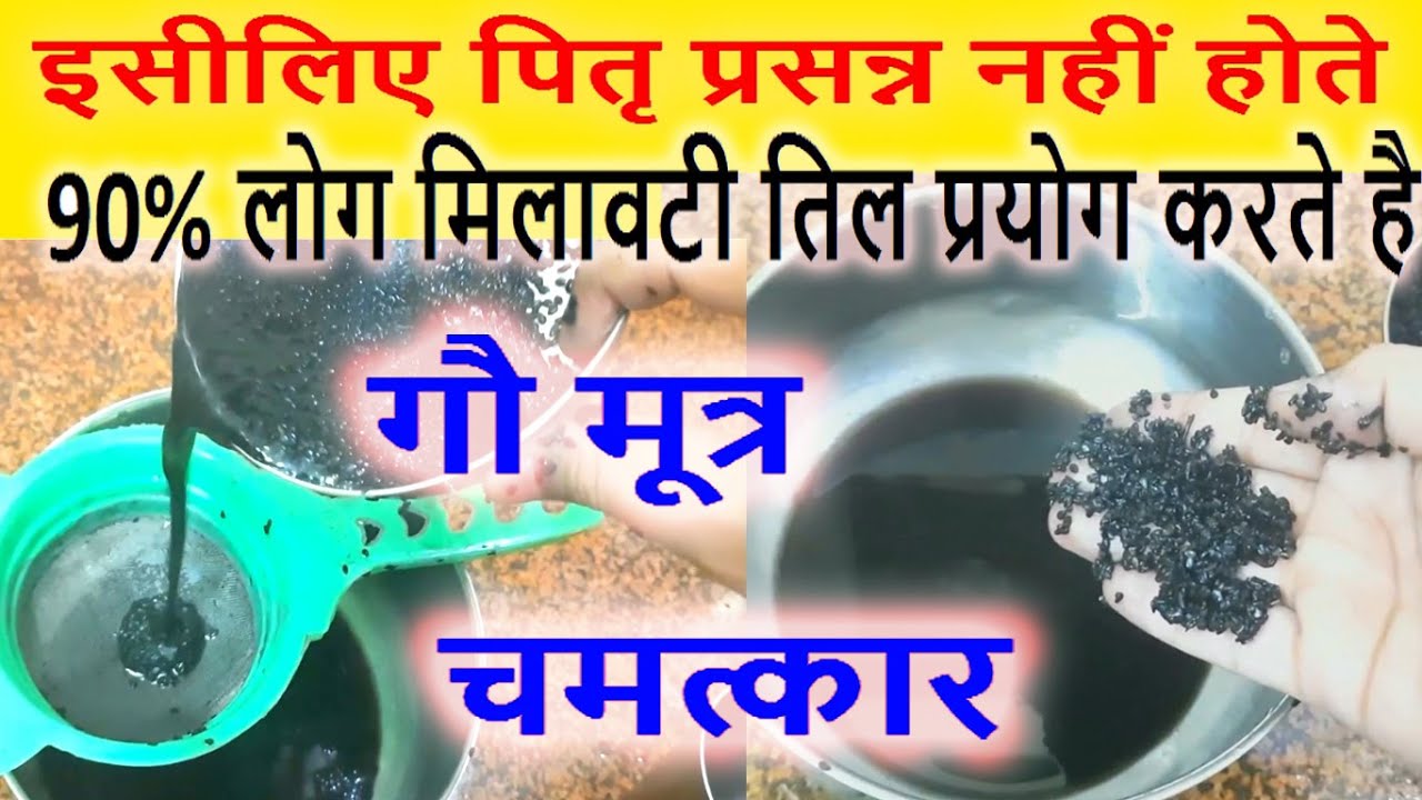 pitro ko khush karne ke upay | pitro ko bhog kaise lagaye pitra dosh ke ...