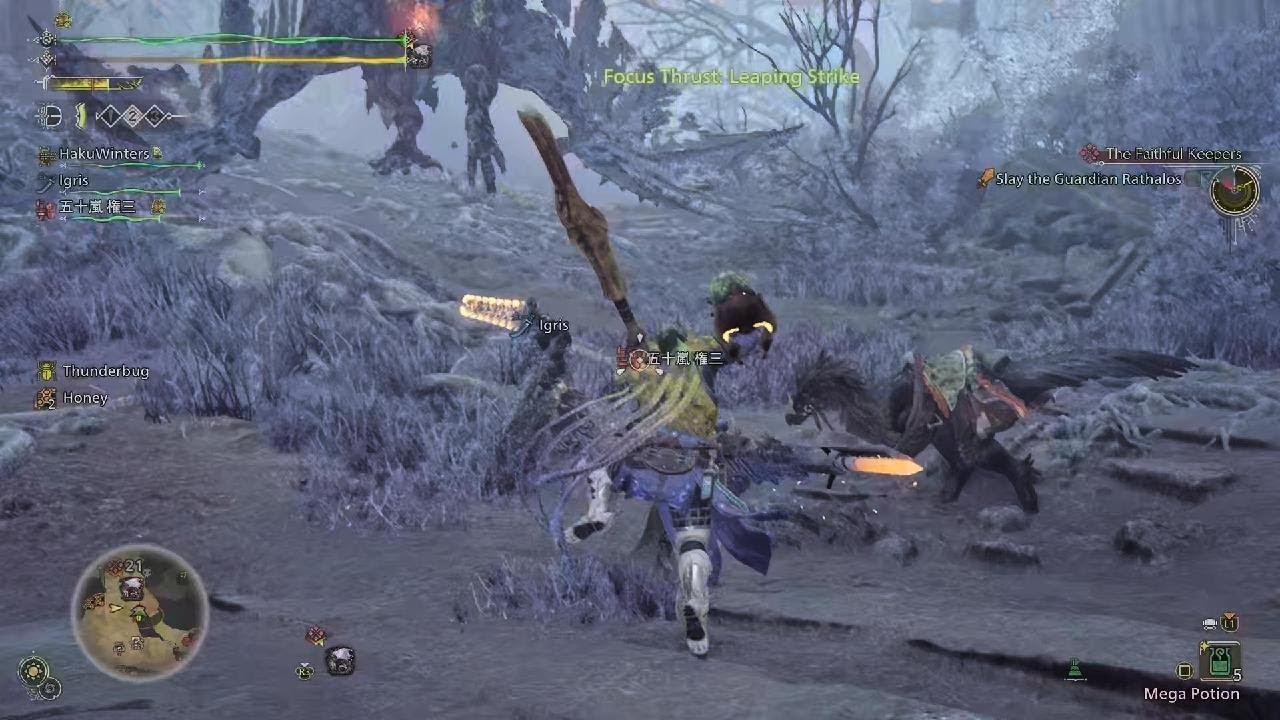 Monster Hunter Insect Glaive Homing Beetle Takes down Rathalos - YouTube