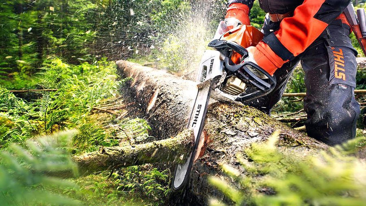 Amazing Powerful Stump Removal Excavator At Another Level, Fastest Wood ...
