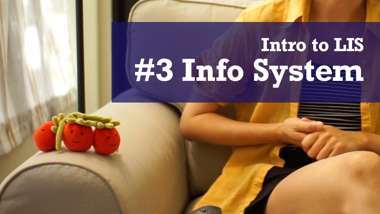 Intro to LIS | #3 Information Systems - YouTube