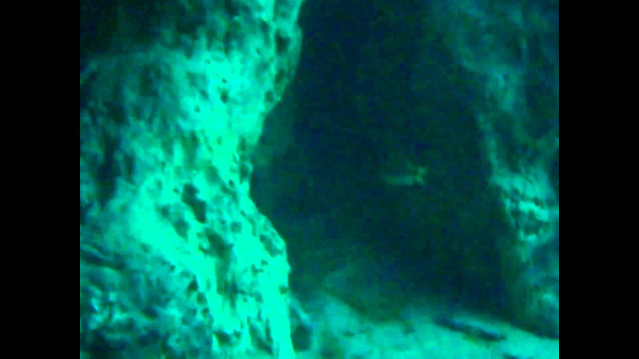 Diving Vortex Springs 19 SEP 2010 - YouTube