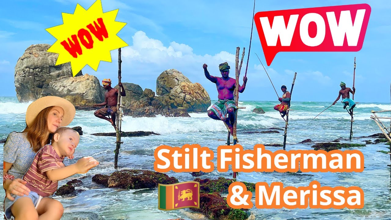 The amazing Stilt Fisherman & Mirissa (Parrot Rock, Turtle Bay, Secret ...