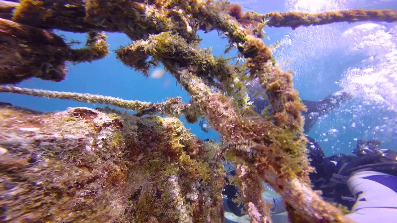 明多洛之十字鬼龍 - YouTube