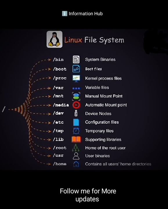 Linux file system #coding #programming #linux #linuxnetwork #file #filesystem #introduction # ...
