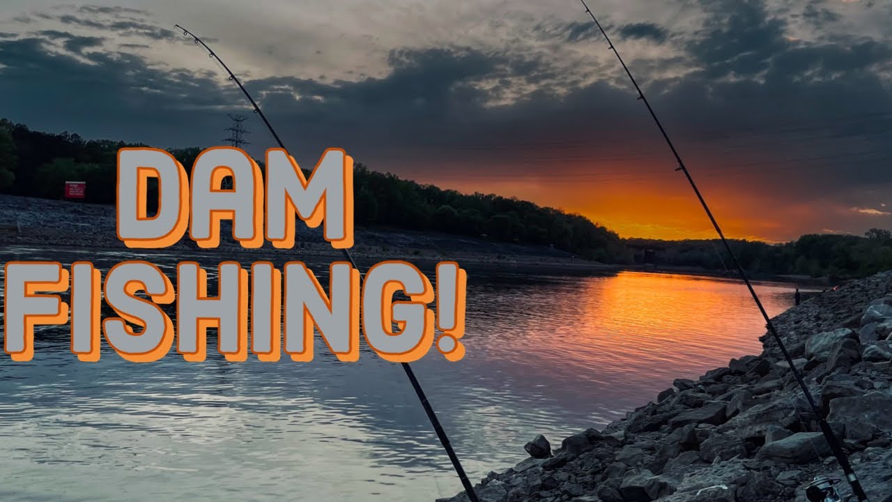 Catfishing with CUTBAIT at the DAM | Catfish and Skipjack - YouTube