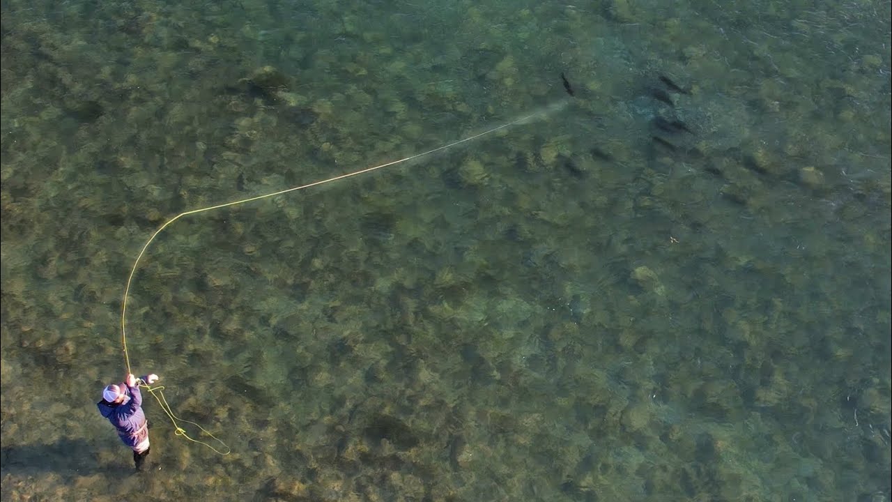 Fly Fishing New Zealands Giant Trout River! Day 1... - YouTube
