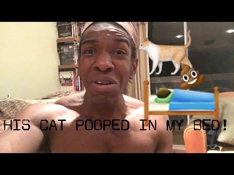 HIS CAT POOPED ON MY BED!
