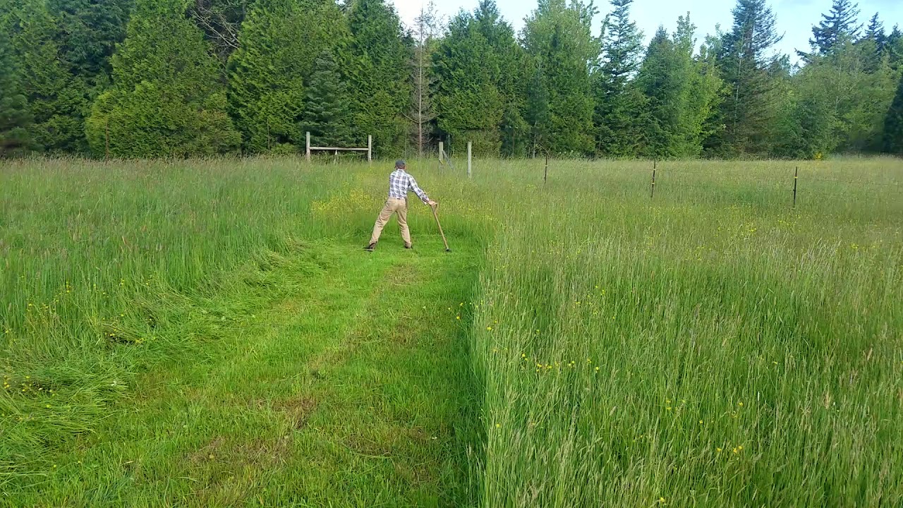 Eight minutes of great scything! - YouTube