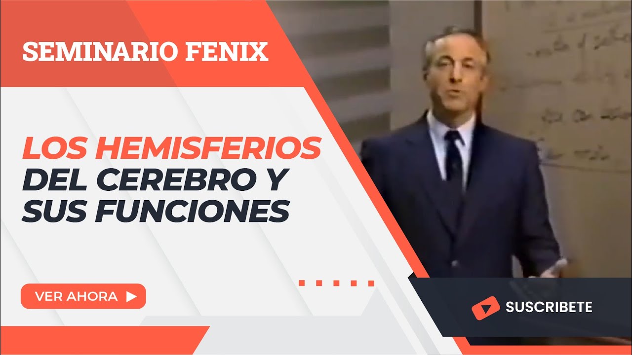Los hemisferios del cerebro y sus funciones - Seminario Fenix Brian ...