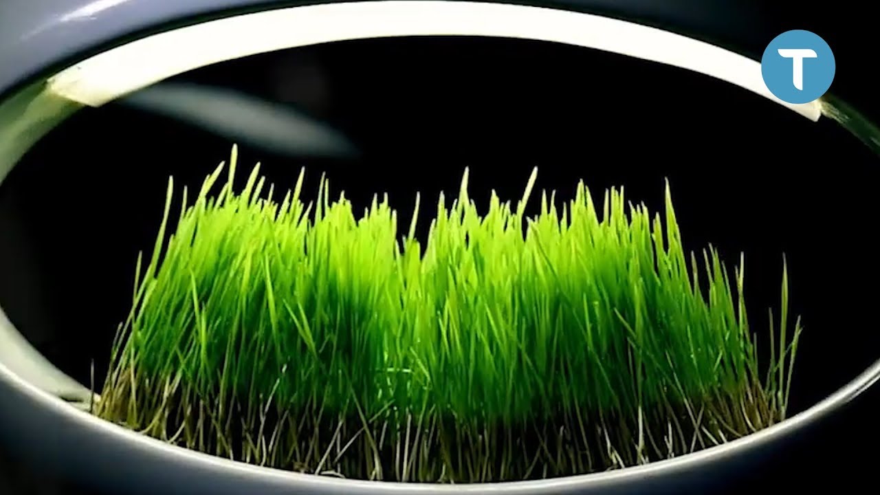 Top 5 Green Technology Eco Friendly Inventions - YouTube