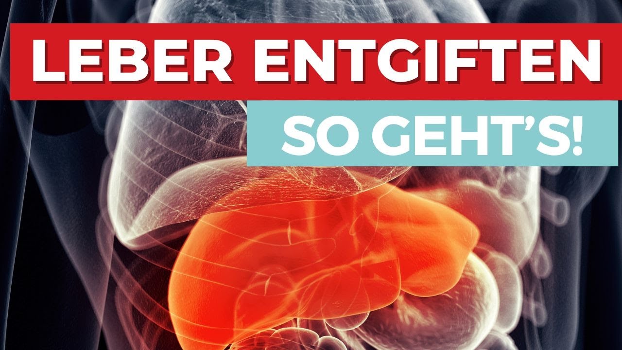 Hohe Leberwerte! So hilfst du dir selbst mit Hilfe der TCM - YouTube