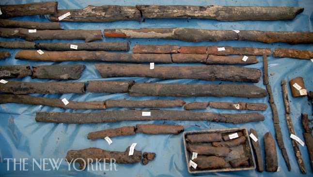 Footprints from Britain's Bronze Age | The New Yorker - YouTube