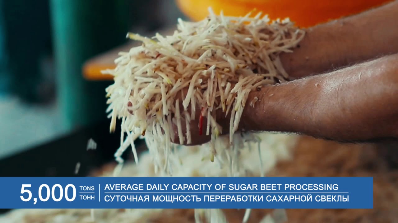 Sucden Russia Tbilissky sugar plant in the Krasnodar region 2020 - YouTube