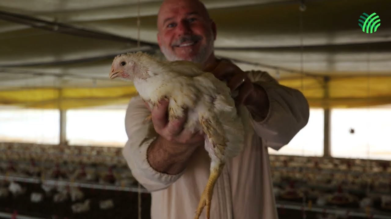 Senar/MS Transformando Vidas: Avicultura - YouTube