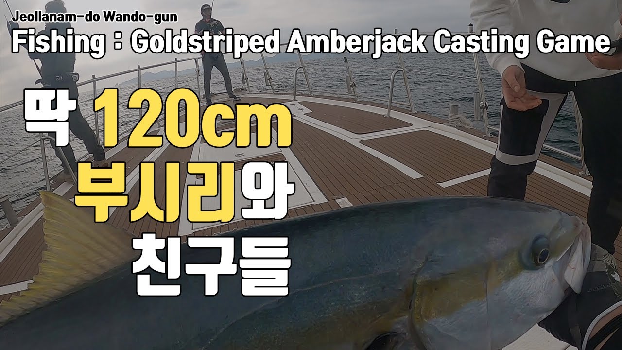 어떻게 딱 120cm 냐... - Goldstriped Amberjack Casting Game - 빅게임 캐스팅 게임 ...