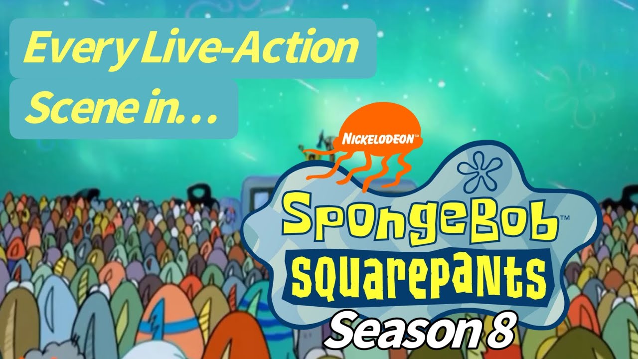 SpongeBob - Every Live Action Scene (Season 8) - YouTube