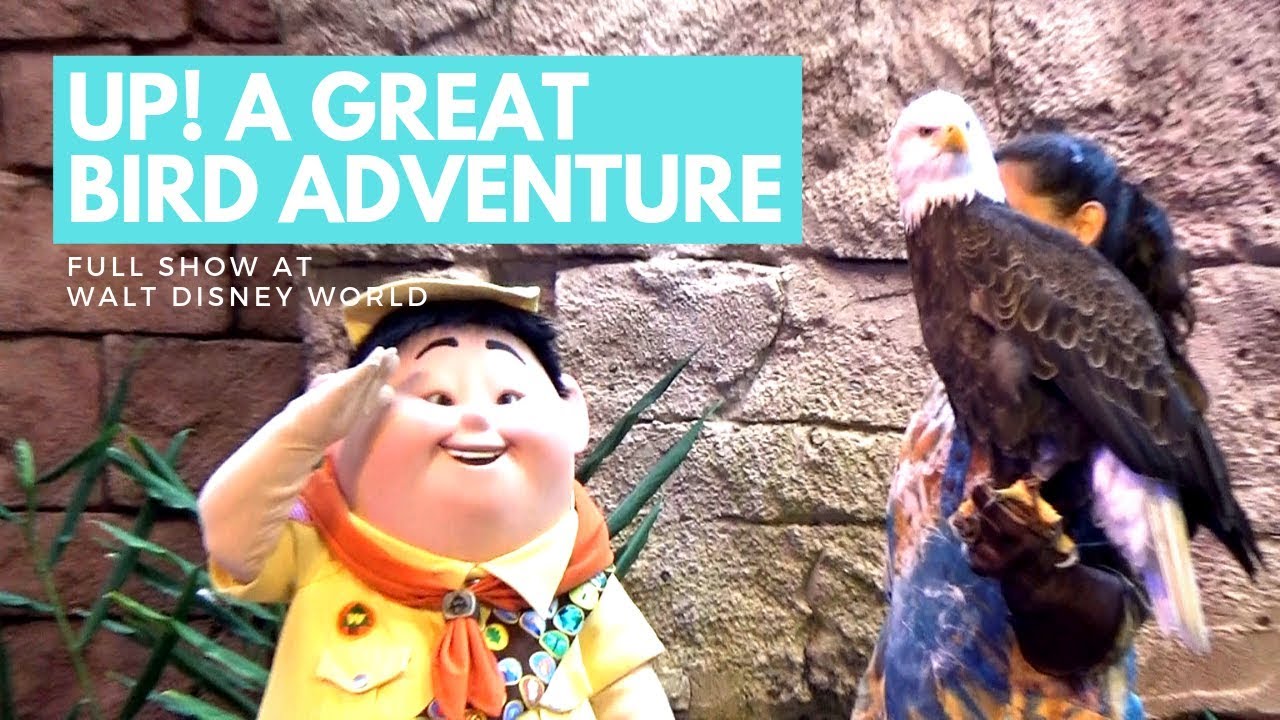 Up! A Great Bird Adventure | FULL SHOW | Disney's Animal Kingdom | Walt ...