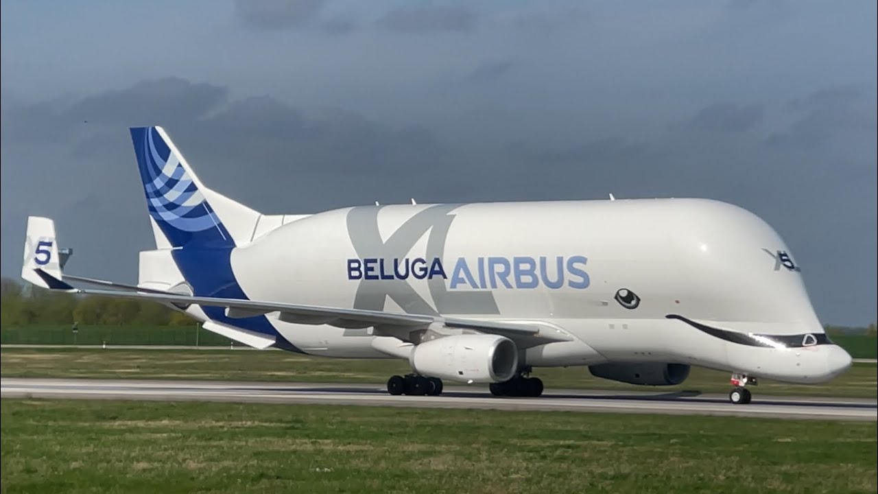 SPECIAL Video of PURE Beluga XL Aviation | Takeoffs, Landings ...