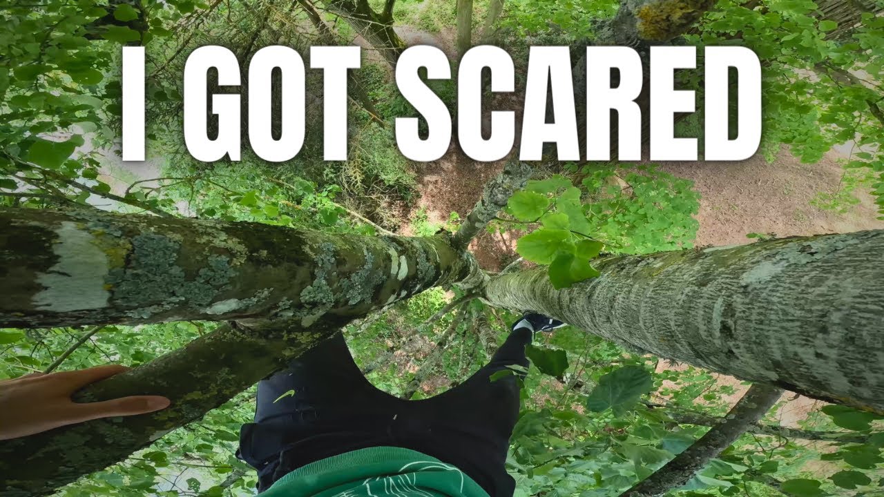 I GOT SCARED! Hardest Tree That I Climbed 4K POV - YouTube