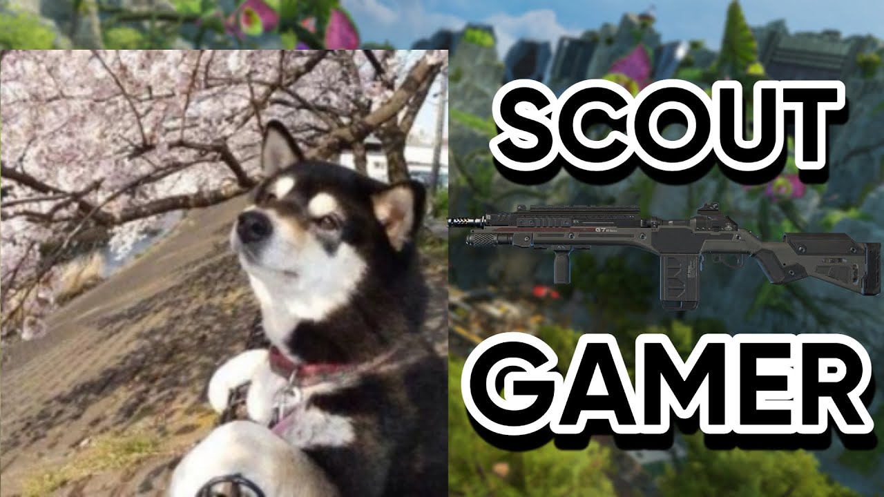 The Scout Gamer - NRG Nafen - YouTube