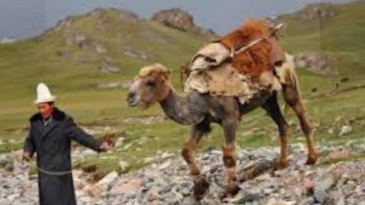Pardon de la Messe à l'Ancienne Claude Tassin - YouTube
