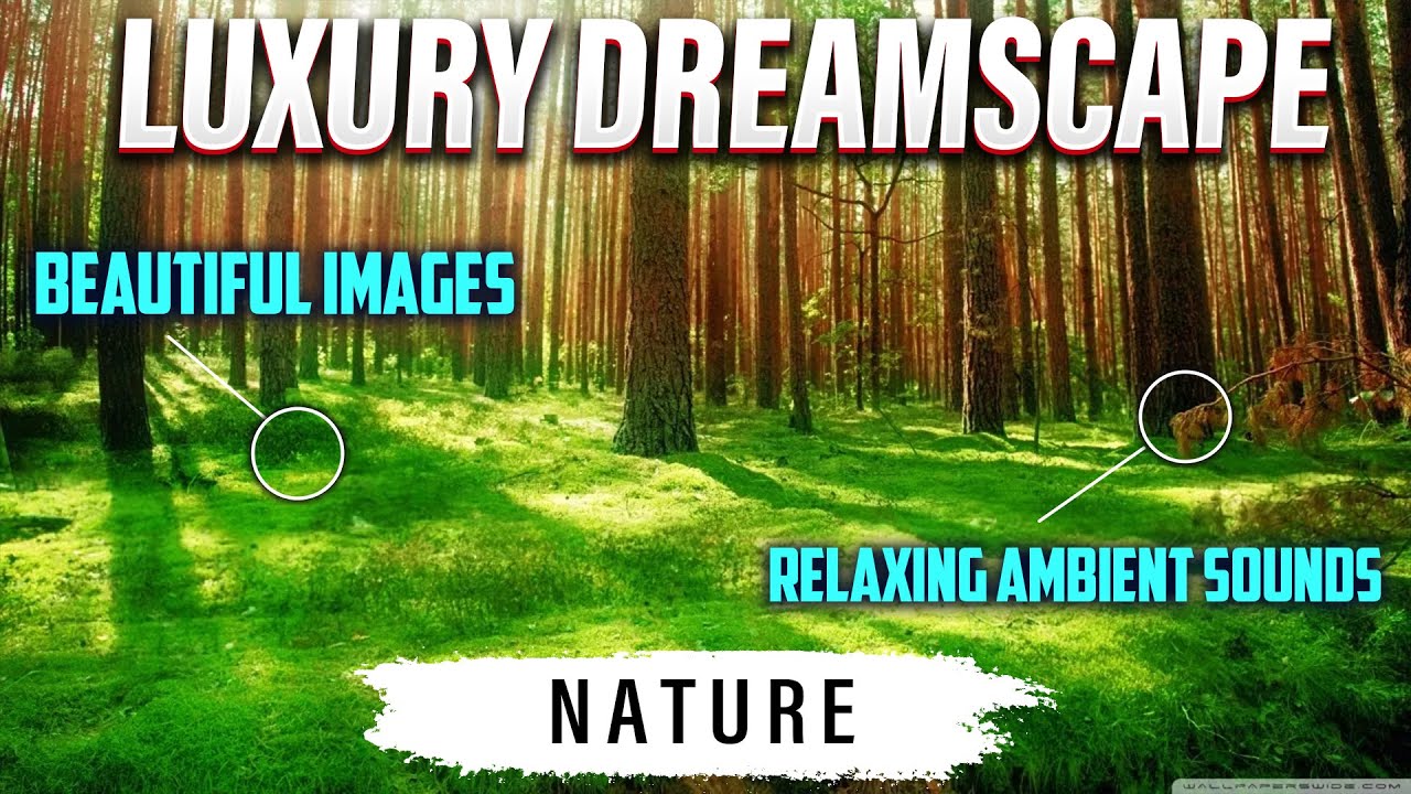 Nature Dreamscape | Ambient Nature Sounds | Breathtaking Views | 1 Hour ...