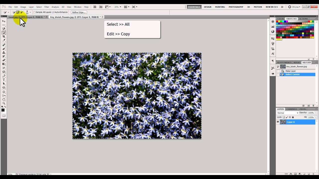 How To Paste An Image Into A Selection YouTube How To Paste An Image Into A Selection YouTube