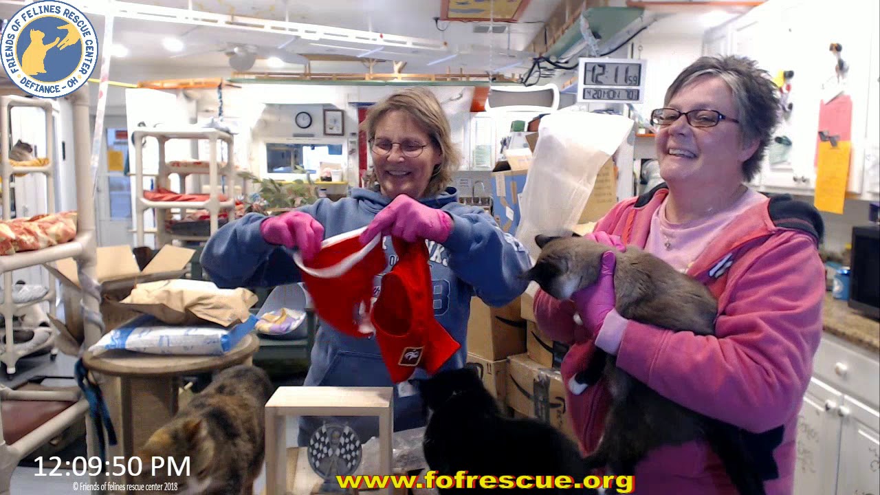 FFRC Boxes 04-20-2020 Friends of Felines Rescue Center (FFRC) - YouTube