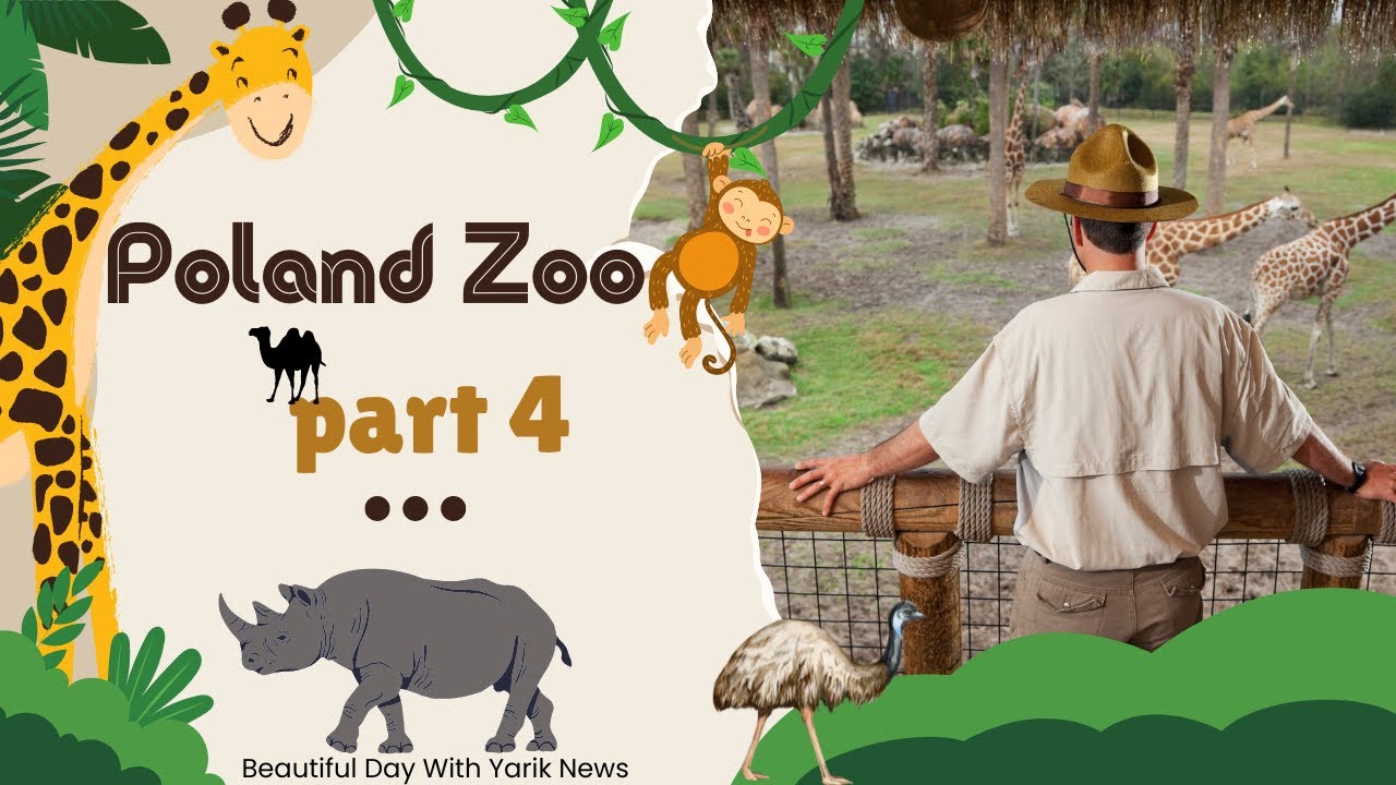 The best Moments of visiting a Polish zoo - YouTube