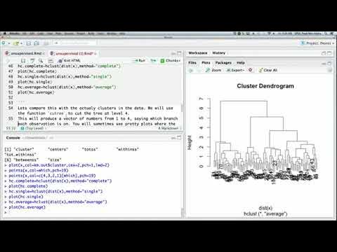 Statistical Learning: 12.R.3 Hierarchical Clustering - YouTube