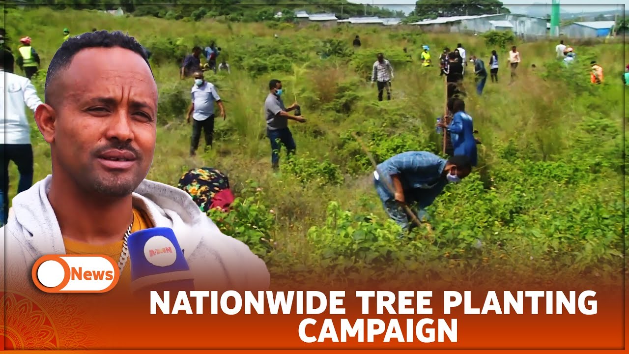 NATIONWIDE TREE PLANTING CAMPAIGN - YouTube