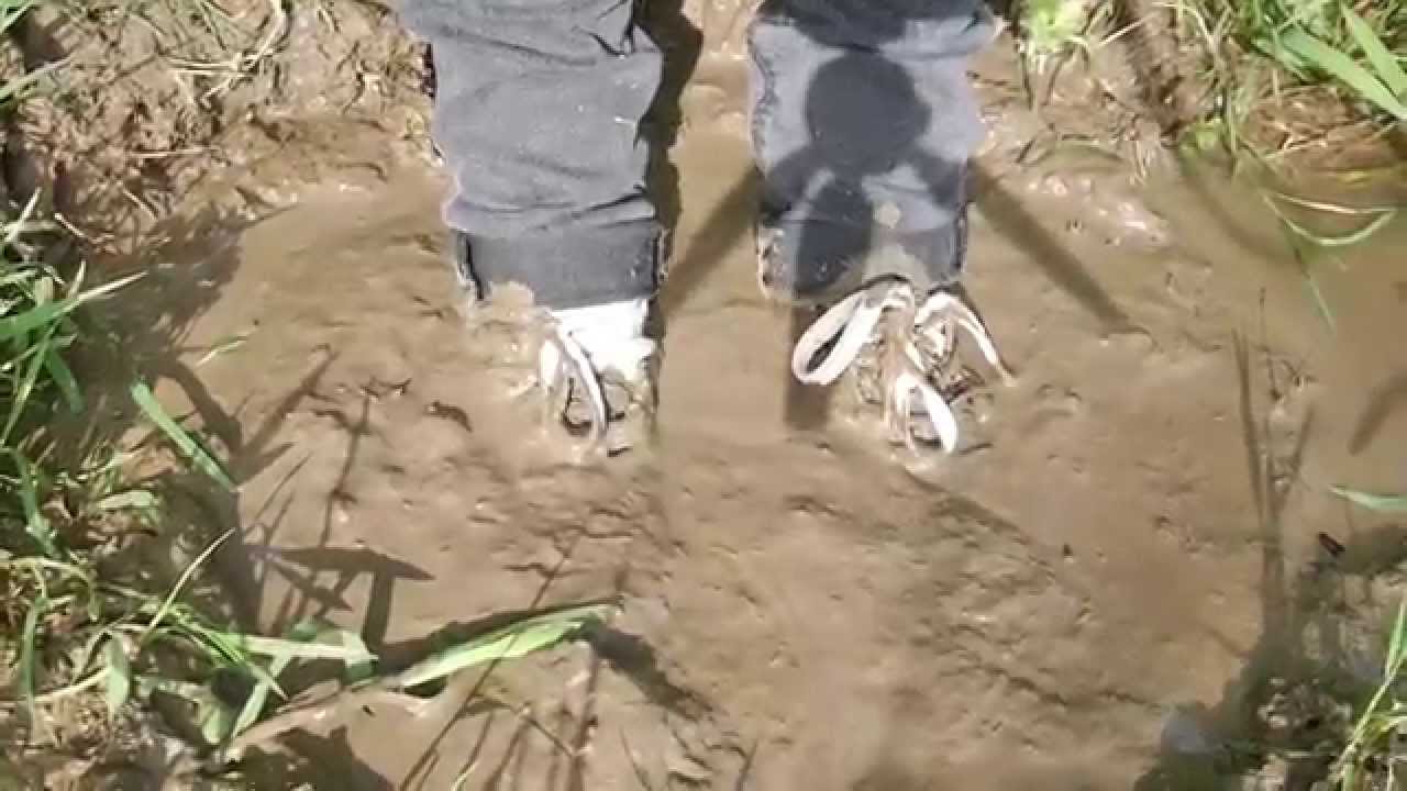 White converse, first time in mud. - YouTube