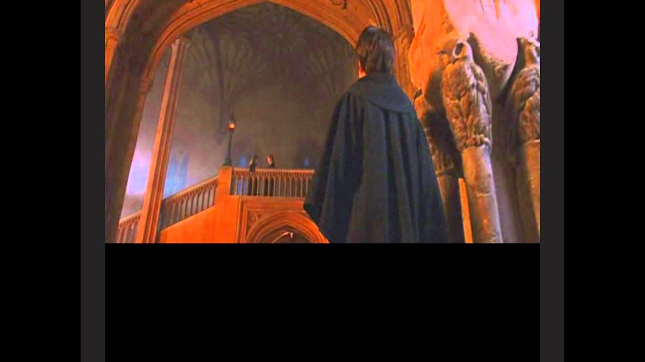 Ron says "I have an erection" accidently on Harry Potter and the ...