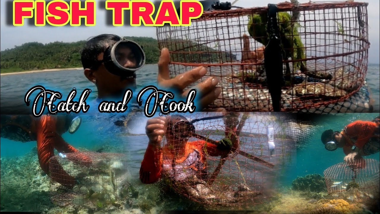 Fish Trap Sa Mga Danggit ..Ang Daming Pumasok Lumot Lang Pain catch and ...