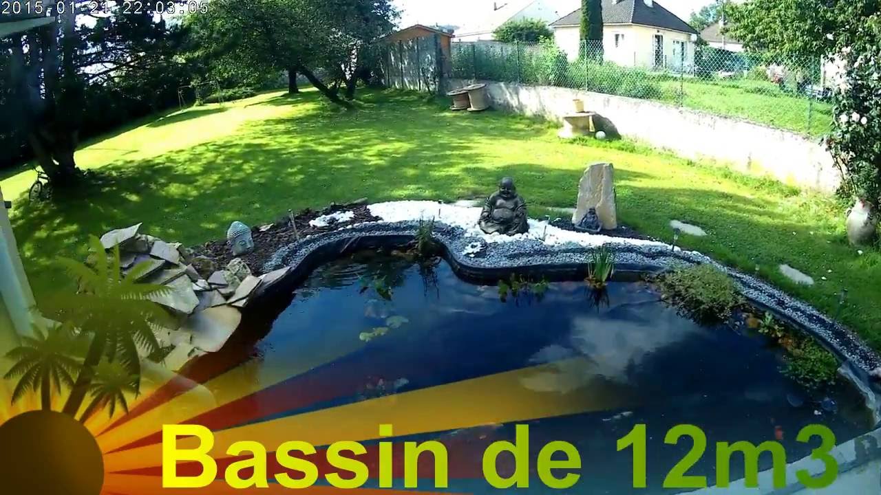 Bassin 12m3 de koi japonaise - YouTube