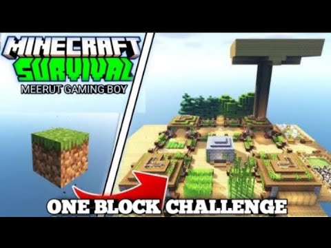 100. Days Survive One Block With Subscriber #oneblock #live #strem # ...