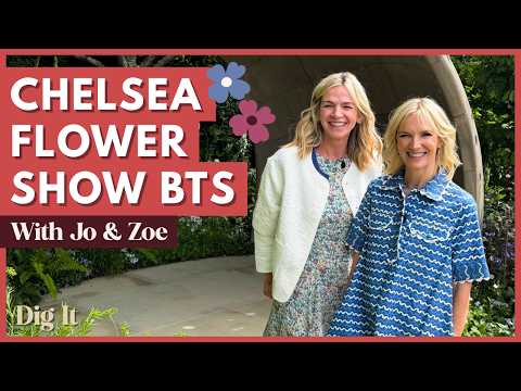 Chelsea Flower Show Exclusive!