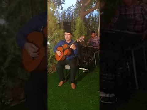 Döwran Saparow (Danatar D) - Arzymy aytmana geldim 2023 #janlyses gitara aydym
