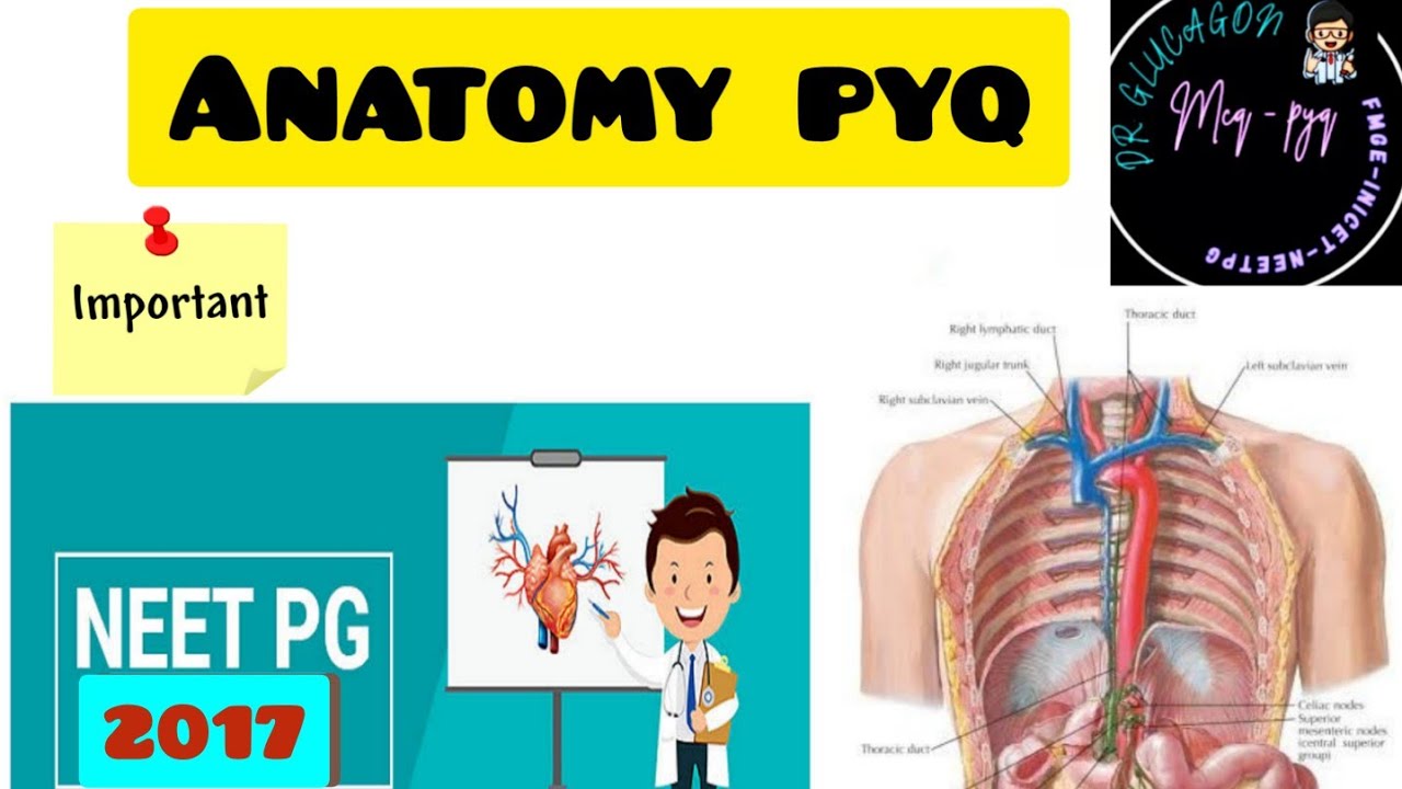 ANATOMY NEET - PG 2017 recall || NEET PG ANATOMY previous years ...