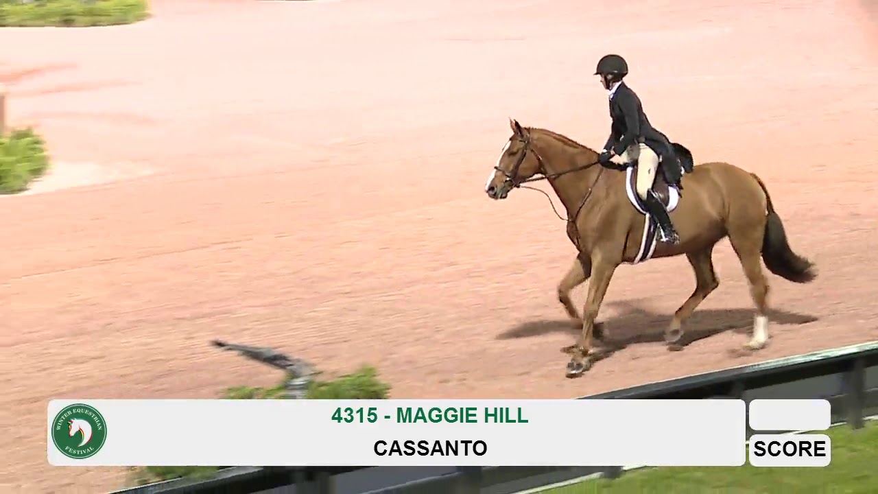 2018 WEF - WCHR Peter Wetherill Palm Beach Hunter Spectacular Rider ...